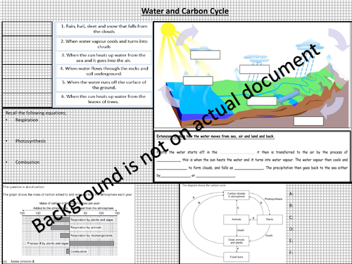 AQA Biology GCSE Ecology Carbon Water Cycles Knowledge Activity Mat ...