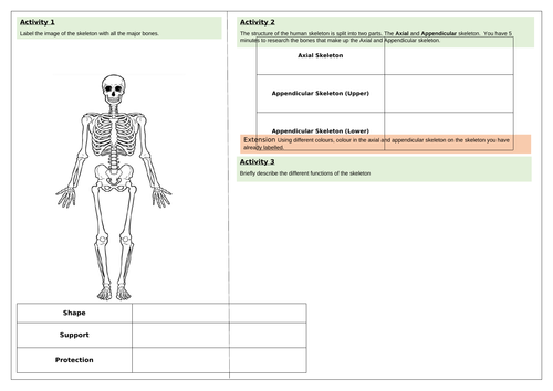 CTEC Sport Unit 1 - Skeletal System - 1.1 + 1.2 | Teaching Resources