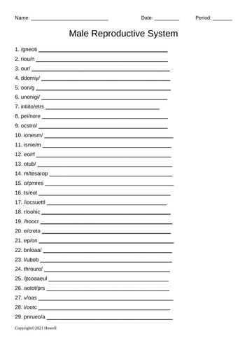 The Male Reproductive System Combining Forms Word Scramble | Teaching ...