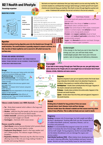 Activate B2.1 Health and lifestyle knowledge organiser | Teaching Resources