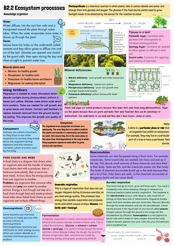 Activate 2 B2.2 Ecosystems | Teaching Resources