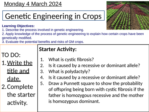 GCSE Biology Genetic Engineering in Crops: Complete Lesson | Teaching ...