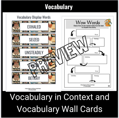 ELF DOG AND OWL HEAD Novel study and Reading Comprehension | Teaching ...