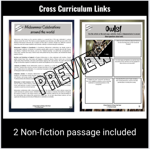 ELF DOG AND OWL HEAD Novel study and Reading Comprehension | Teaching ...