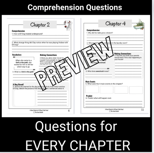 ELF DOG AND OWL HEAD Novel study and Reading Comprehension | Teaching ...