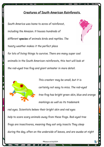 Years 3 and 4 Information Text Writing Unit - Rainforest | Teaching ...