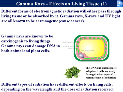Phy_6.13 EMS - Gamma Rays | Teaching Resources