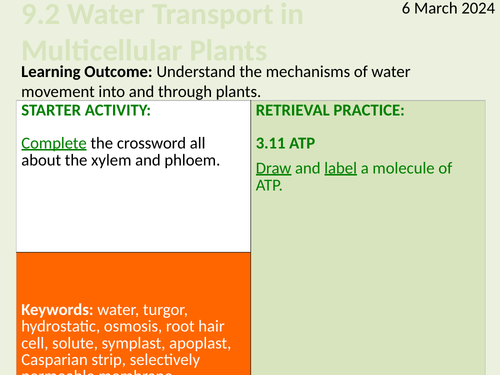 OCR Biology A- 9.2 Water Transport in Multicellular Plants | Teaching ...