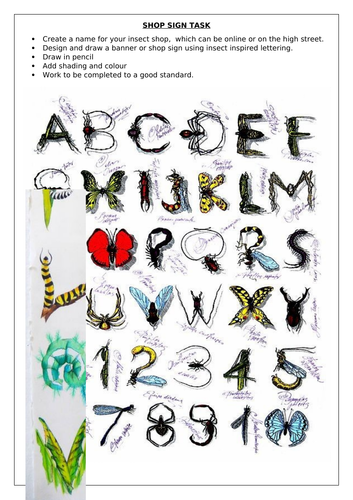 Insect Signs and lettering | Teaching Resources