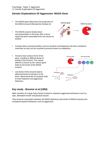 L1: Genetic Explanations - Aggression - Paper 3 - AQA Psychology ...