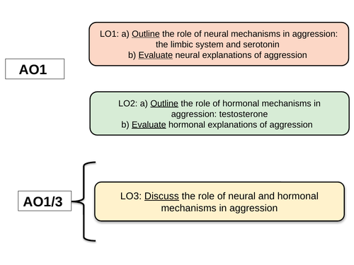 L2: Neural/Hormonal Explanations - Aggression - Paper 3 - AQA ...