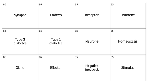 B5 key word and definition cards | Teaching Resources