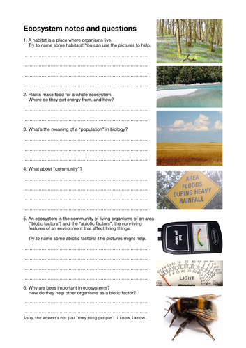 Edexcel GCSE ecosystem worksheets, GCSE 9-1 biology | Teaching Resources