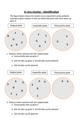 In Vivo cloning - AQA A Level Biology- 21. Recombinant DNA Technology ...
