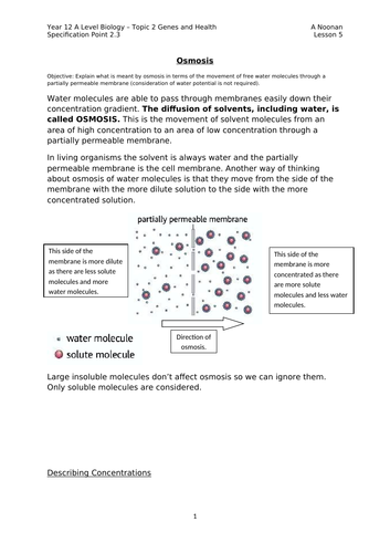 Edexcel A Level Biology Spec A Salters-Nuffield Topic 2 Genes and Health - Osmosis | Teaching ...