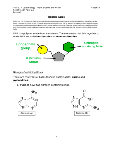 Edexcel A Level Biology Spec A Salters-Nuffield Topic 2 Genes and ...