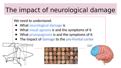 GCSE Edexcel Psychology the impact of neurological damage | Teaching ...