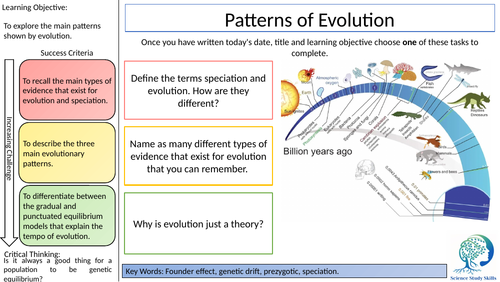 Patterns of Evolution - Grade 11 | Teaching Resources