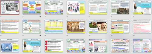 Use and Abuse of Animals - Religious Education Lesson | Teaching Resources