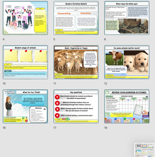 Use and Abuse of Animals - Religious Education Lesson | Teaching Resources