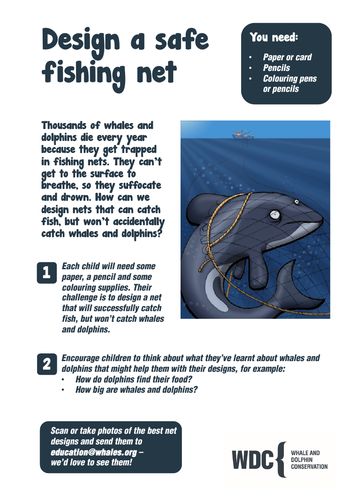 Whale and Dolphin food chains and webs resource pack - Free | Teaching ...