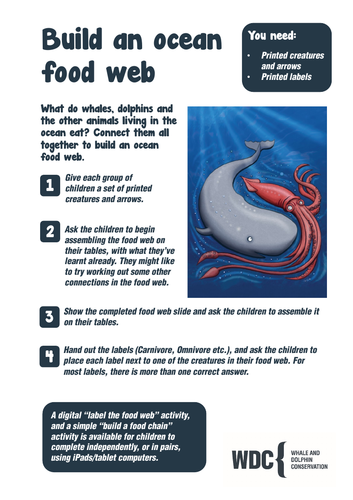 Whale and Dolphin food chains and webs resource pack - Free | Teaching ...