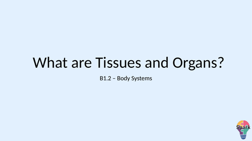 KS3 - Tissues and Organs | Teaching Resources