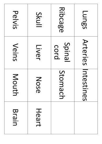 KS3 - Organ Systems | Teaching Resources