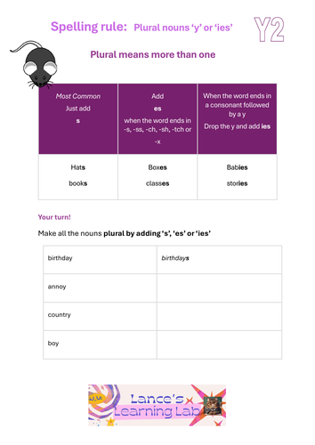 Y2 Plural nouns worksheet y or ies | Teaching Resources