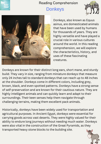 Donkeys Reading Comprehension Worksheet | Teaching Resources