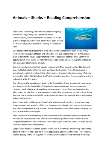 Ocean Animals – Sharks – Reading Comprehension | Teaching Resources