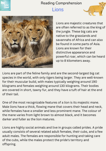 Lions Reading Comprehension Worksheet | Teaching Resources