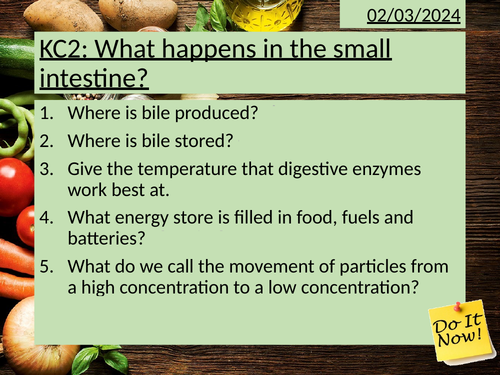 KS3 Digestion (diet & digestive system) | Teaching Resources