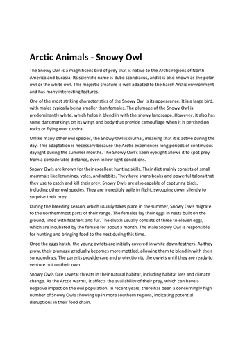 Arctic Animals - Snowy Owl – Reading Comprehension | Teaching Resources