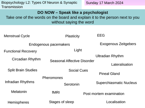 L2: Neurons & Synapses - Biopsychology - AQA Psychology | Teaching ...
