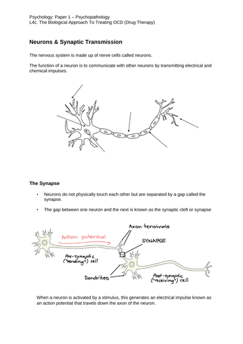L2: Neurons & Synapses - Biopsychology - AQA Psychology | Teaching ...