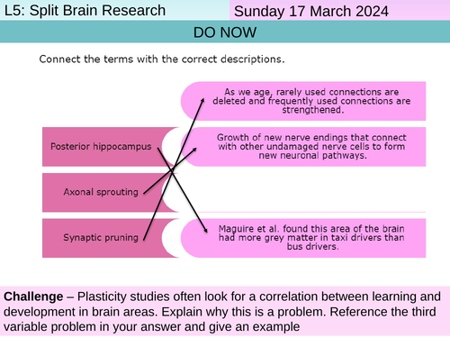 L5: Split Brain Studies - Biopsychology - AQA Psychology | Teaching ...