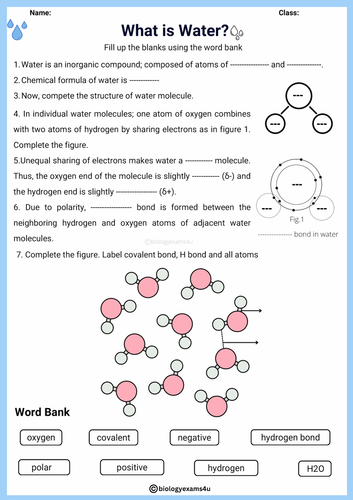 Properties of Water 5 Worksheets | Teaching Resources