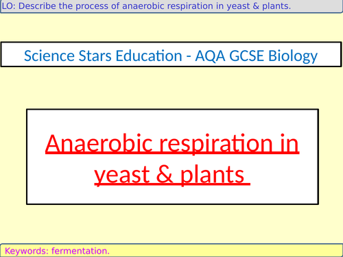 Anaerobic respiration in yeast and plants | Teaching Resources