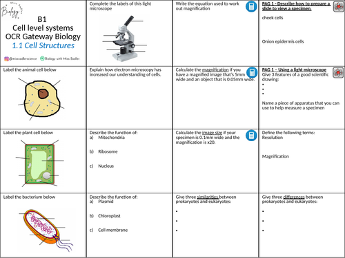 OCR Gateway Biology GCSE revision grid B1 Cell level systems | Teaching Resources