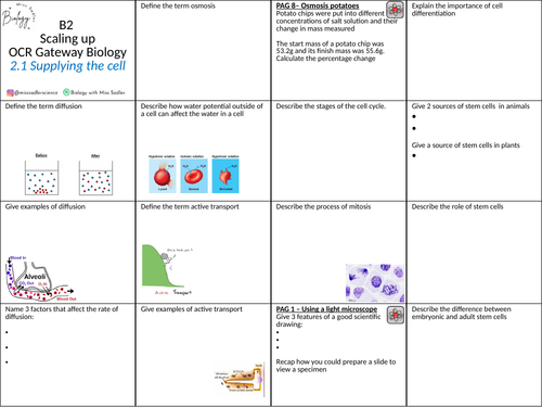 OCR Gateway Biology GCSE revision grid B2 Scaling up | Teaching Resources