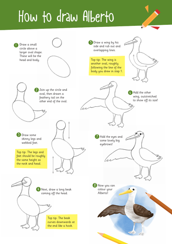 KS2 Science through storytelling: Alberto the Waved Albatross: A ...