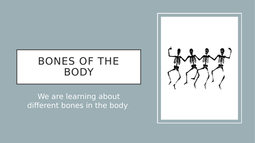 Bones of the Body - PowerPoint and Note Taking | Teaching Resources