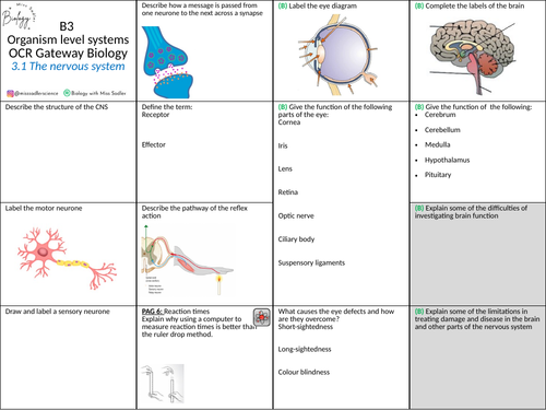 OCR Gateway Biology GCSE revision grid B3 Organism level systems | Teaching Resources