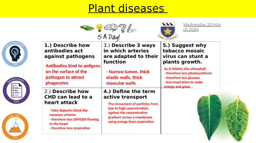 Plant Disease (AQA Biology) | Teaching Resources