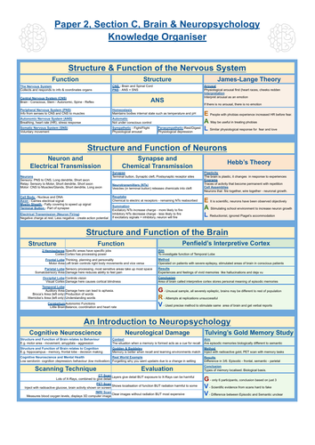 Brain & Neuropsychology Knowledge Organiser - AQA GCSE | Teaching Resources