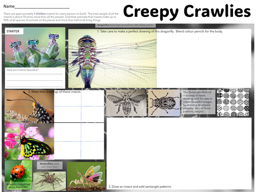 Design Art - Cover Worksheet - Creepy Crawlies | Teaching Resources