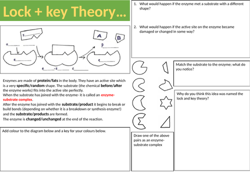 Lock and Key enzymes | Teaching Resources