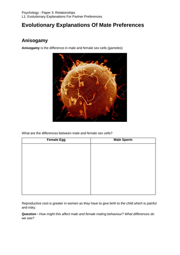 L1: Evolutionary Explanations Of Attraction - Relationships - AQA ...