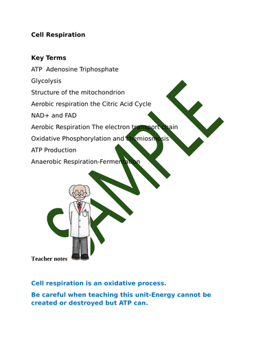 AP Biology Cellular Respiration Barf Lab and Directed Readings ...